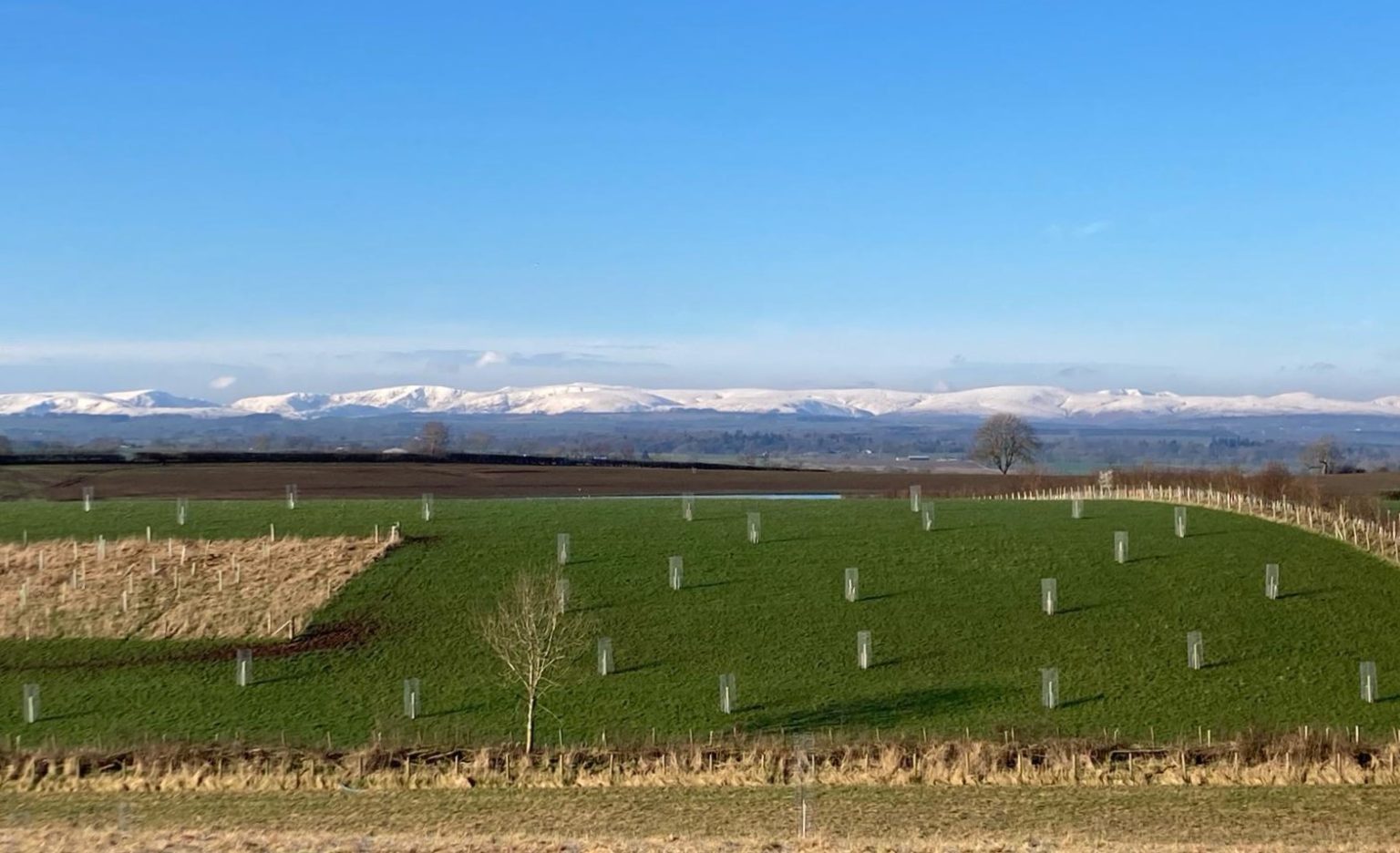 Press Releases – Transport Action Network