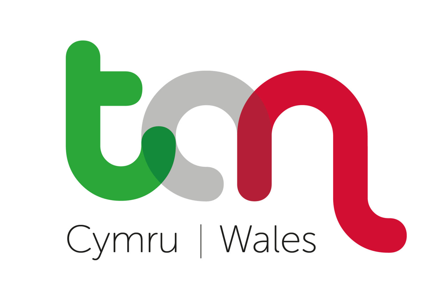 TAN Cymru – Transport Action Network