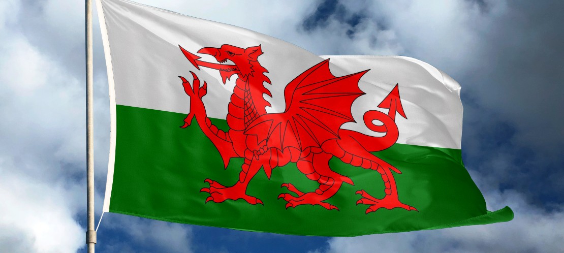 Welsh Reports – Transport Action Network